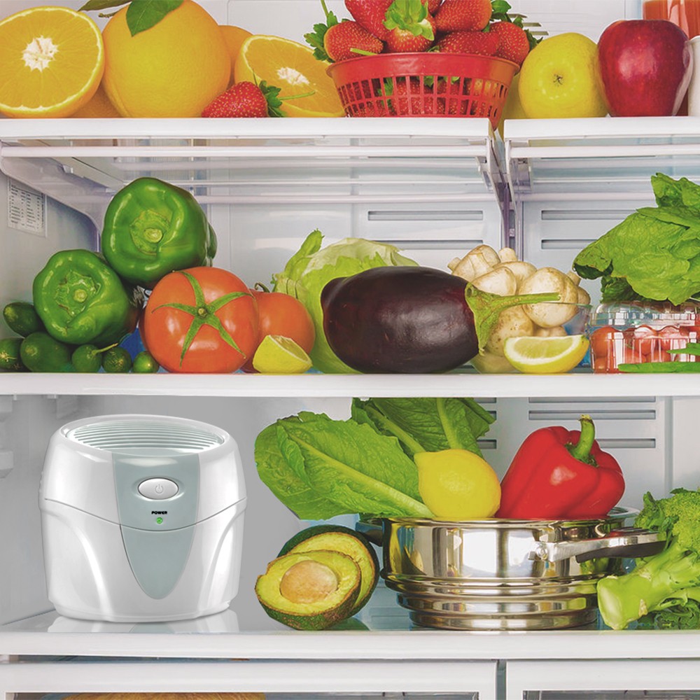 Generador Ozono Fridge - Vida 10